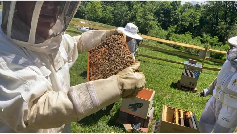 NEWS – 6th Annual Manassas Bee Festival Saturday, 6/20/26 Liberia House & Grounds 8601 Portner Ave.